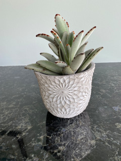 Alison’s 90th Birthday – Forest City Wordwrights